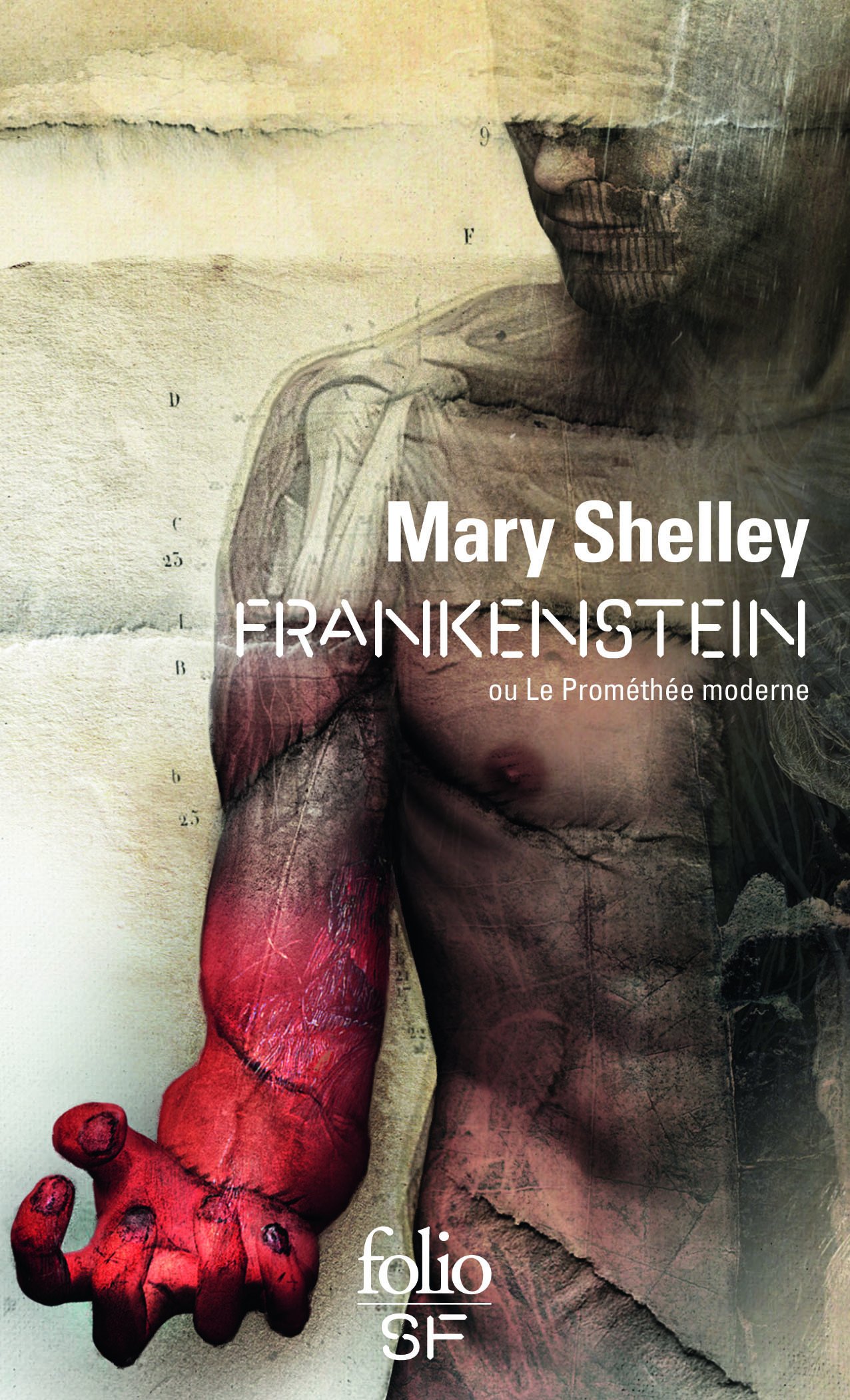 frankenstein-mary-shelley - La Geekosophe
